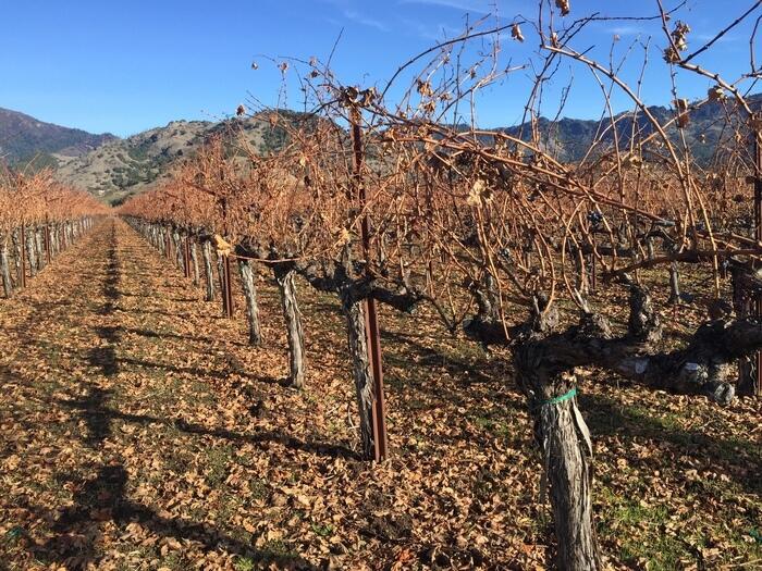 Spire Collection Private Tasting | Wines By Jeremy